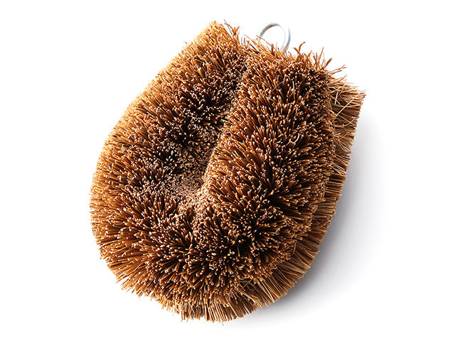 Purchase Japanese Scrubbing Brush – Japanese cookware online store