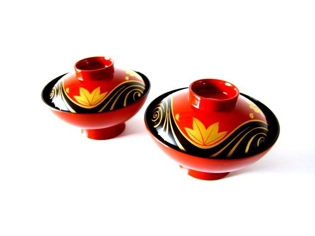 Purchase Plastic bowls with lids – Japanese cookware online store
